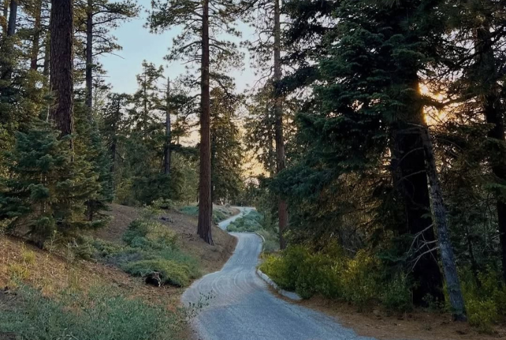 A Complete Guide to Hiking and Camping in Angeles National Forest